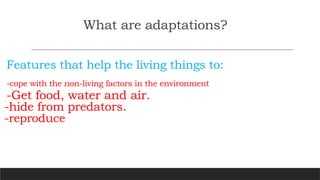 Animal and Plants adaptations Science G5 | PPTX