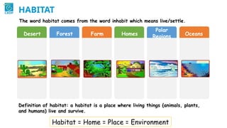 animal and their habitats school project.pptx