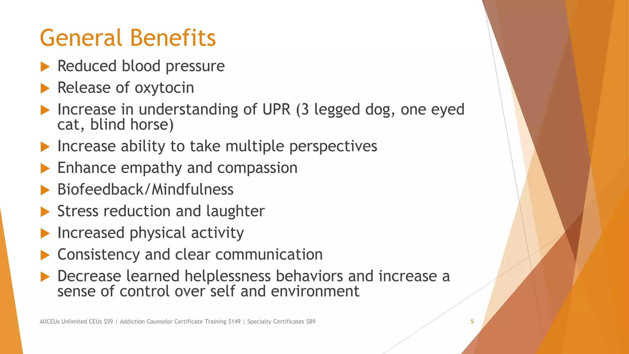 Animal assisted therapy | PPTX