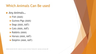 Animal assisted therapy | PPTX