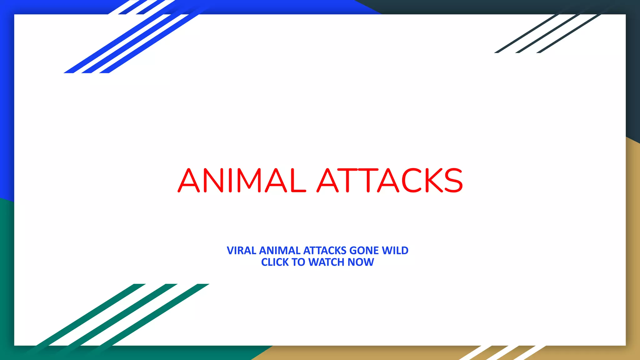 ANIMAL ATTACKS | PDF