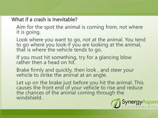 Animal Avoidance Nov 22.ppt
