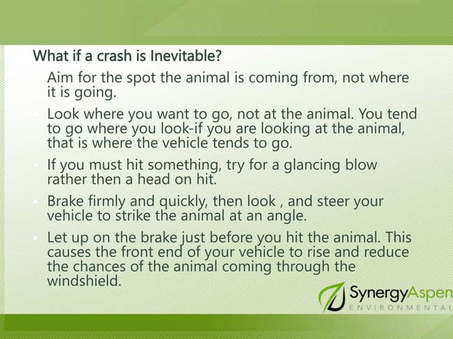 Animal Avoidance Nov 22.ppt