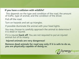 Animal Avoidance Nov 22.ppt