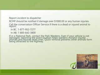 Animal Avoidance Nov 22.ppt