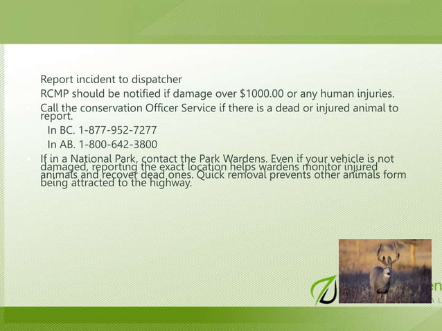 Animal Avoidance Nov 22.ppt