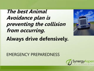 Animal Avoidance Nov 22.ppt