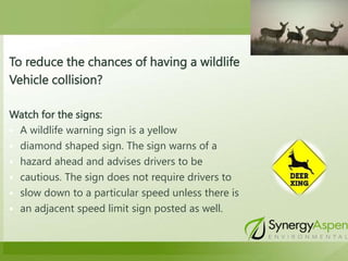 Animal Avoidance Nov 22.ppt