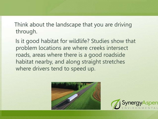 Animal Avoidance Nov 22.ppt