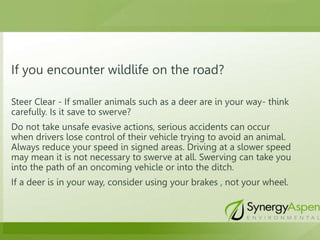 Animal Avoidance Nov 22.ppt