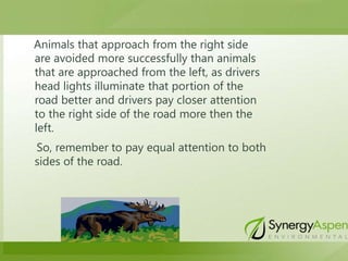 Animal Avoidance Nov 22.ppt