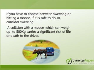 Animal Avoidance Nov 22.ppt