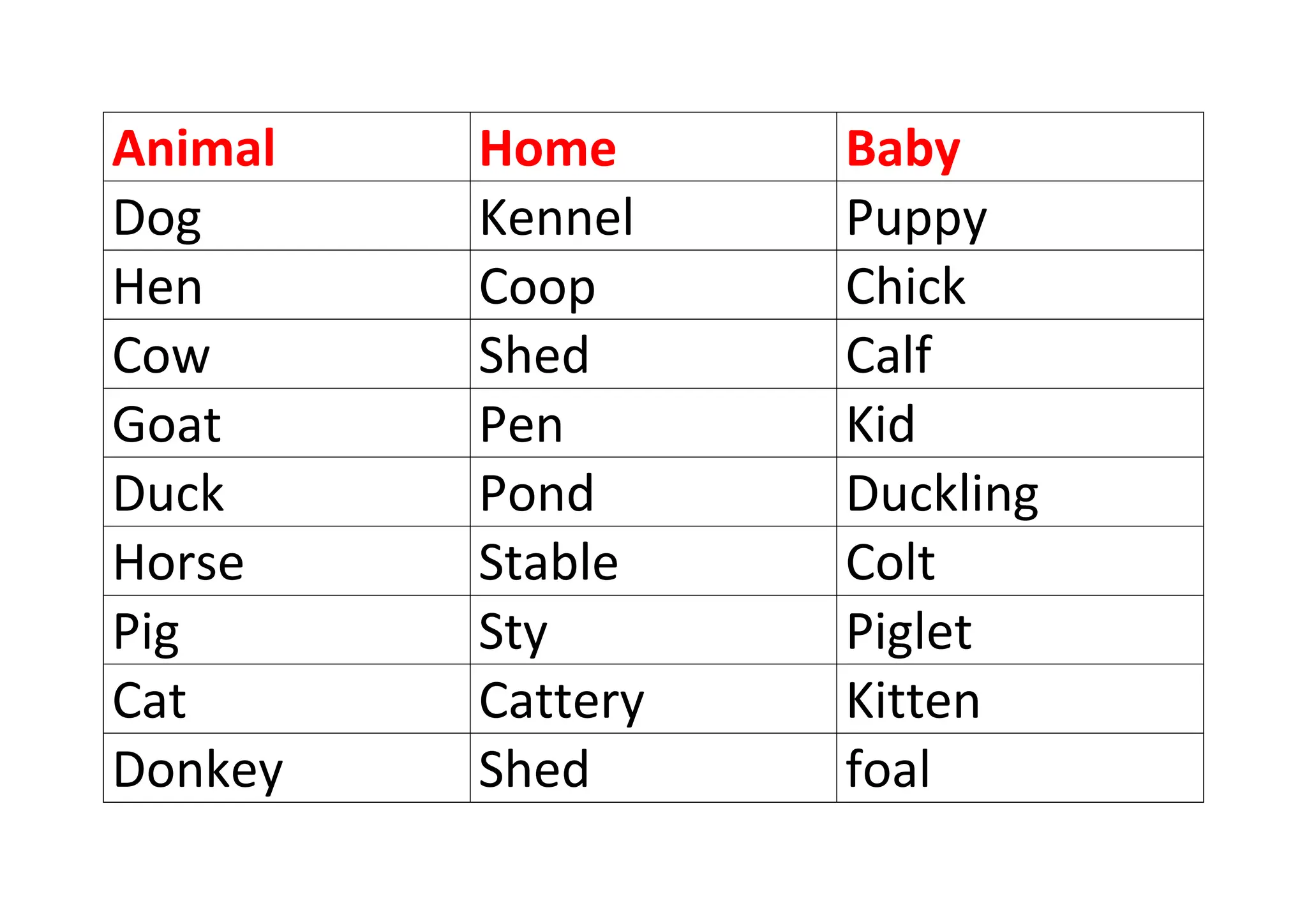 UKG_Anilmal babies and their homes practice | DOCX