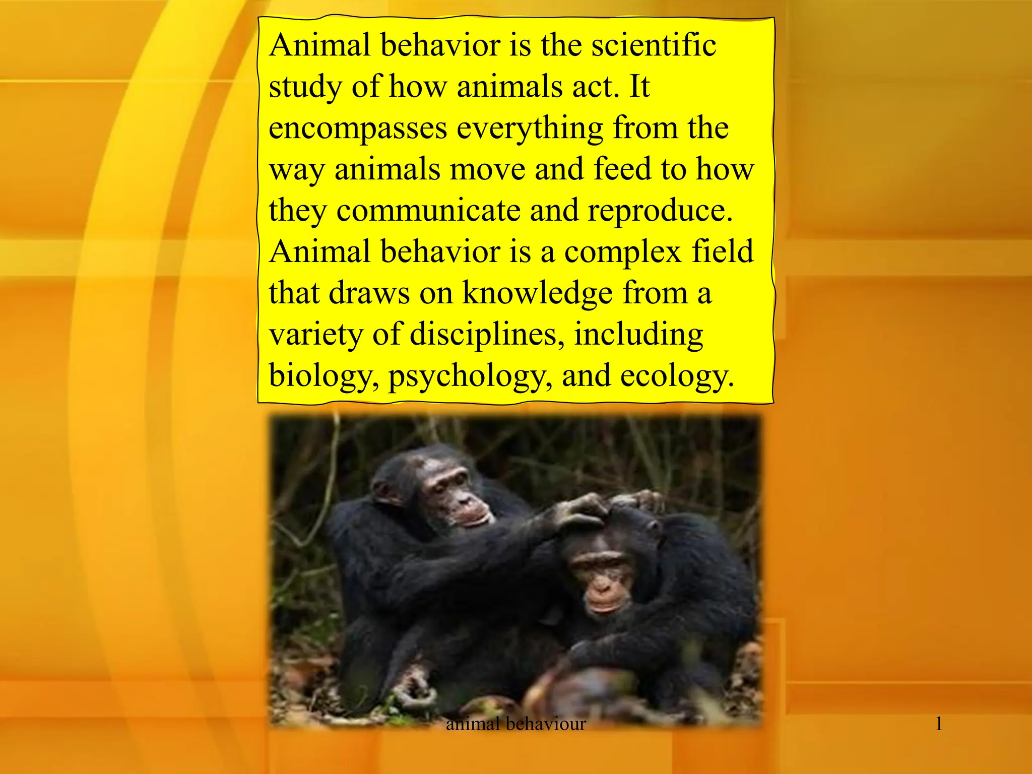 animal behavior .pdf