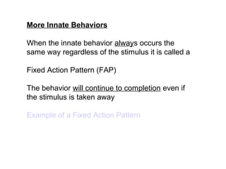 Animal Behavior | PPT | Veterinary Medicine | Pets