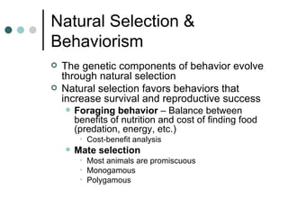 Animal behavior | PPT