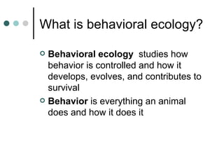 Animal behavior | PPT