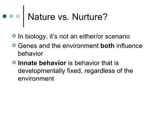 Animal behavior | PPT