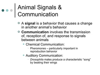Animal behavior | PPT
