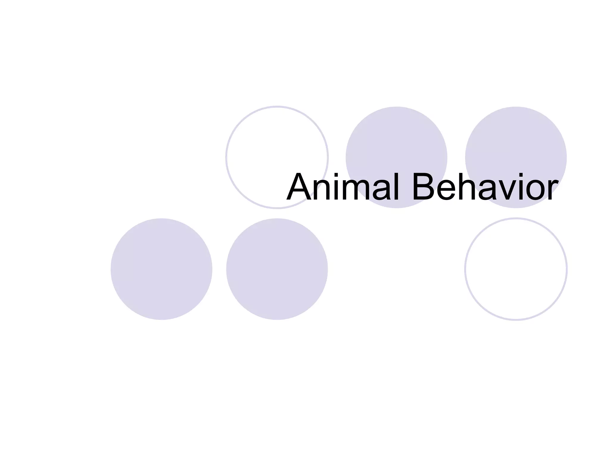 Animal behavior | PPT