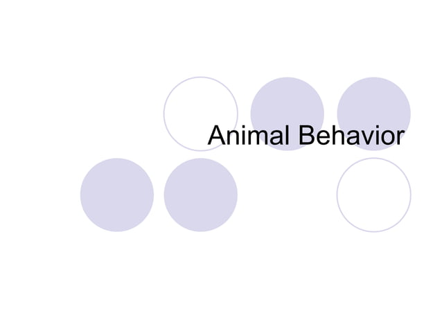 Animal behavior | PPT