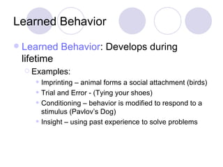 Animal behavior | PPT