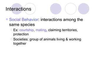 Animal behavior | PPT
