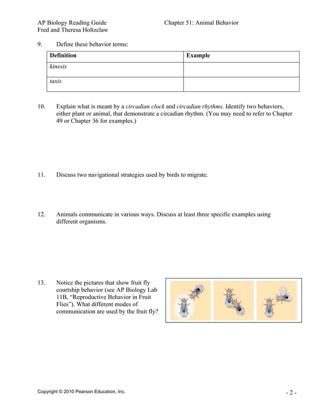 Animal behavior | PDF