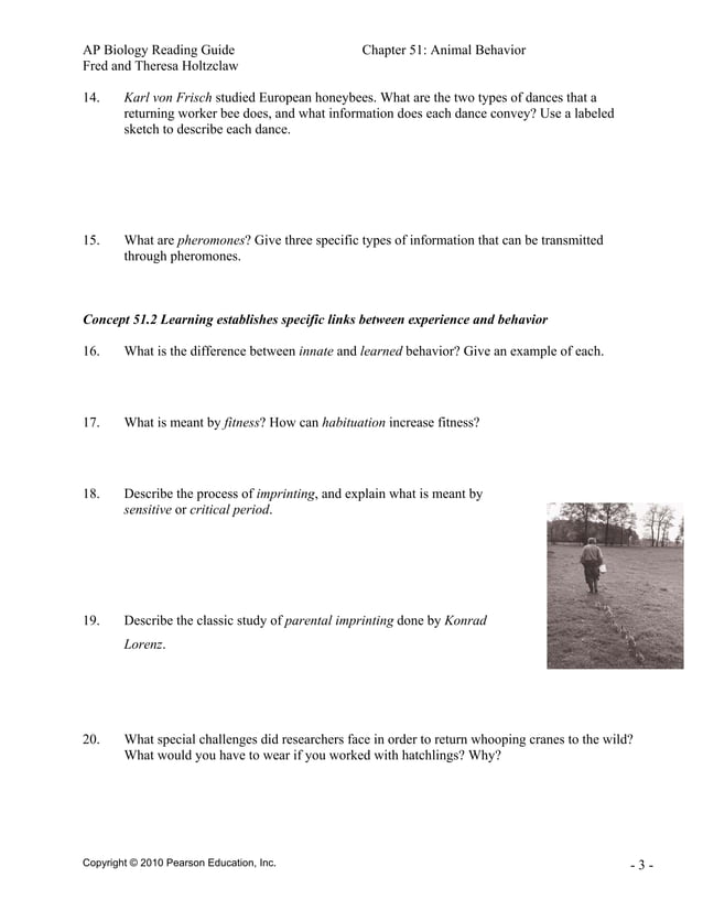 Animal behavior | PDF