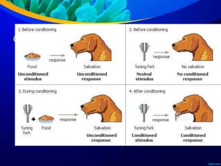 Conditioning Behaviour In Animals
