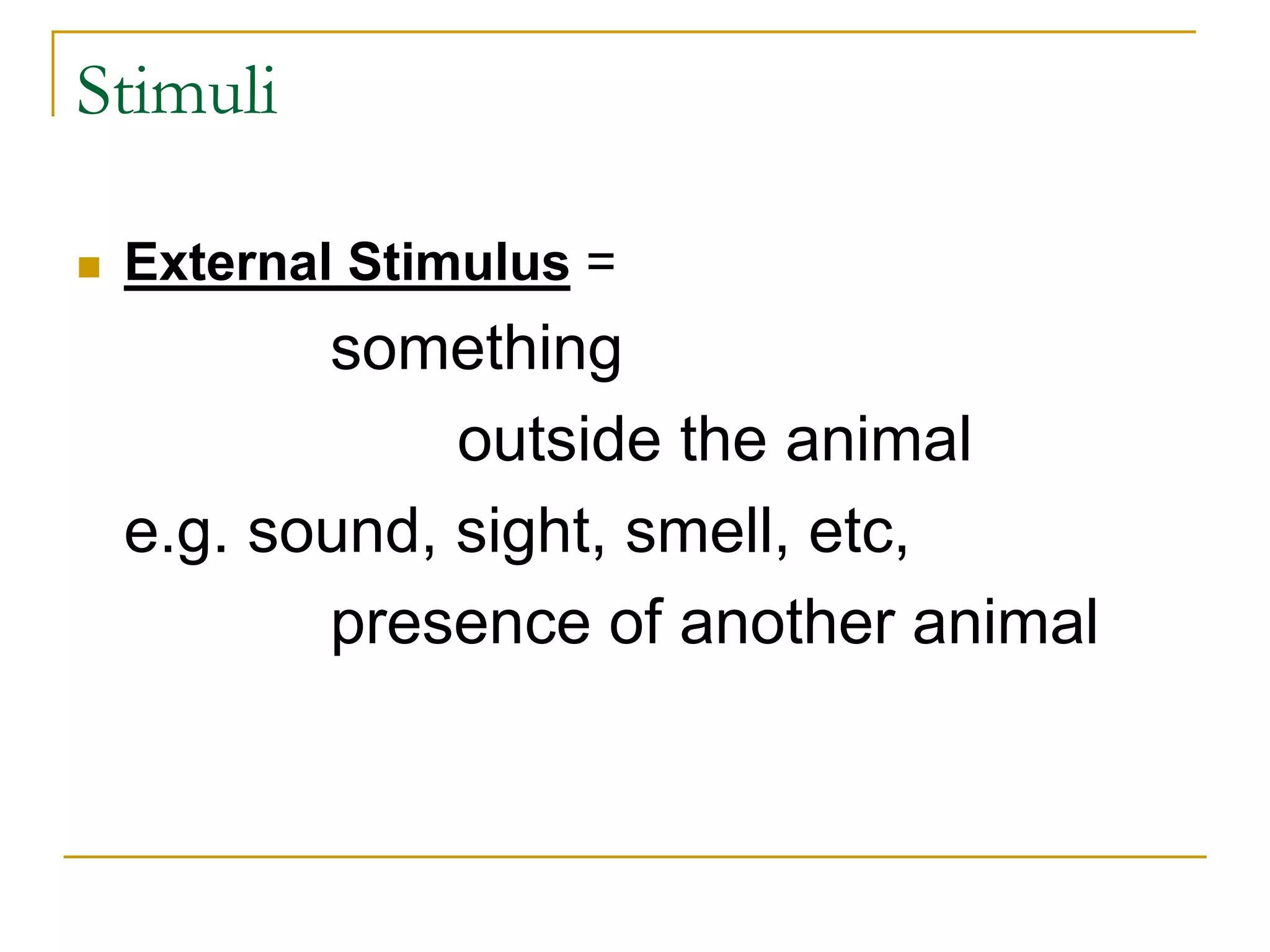 Animal behavior | PPT