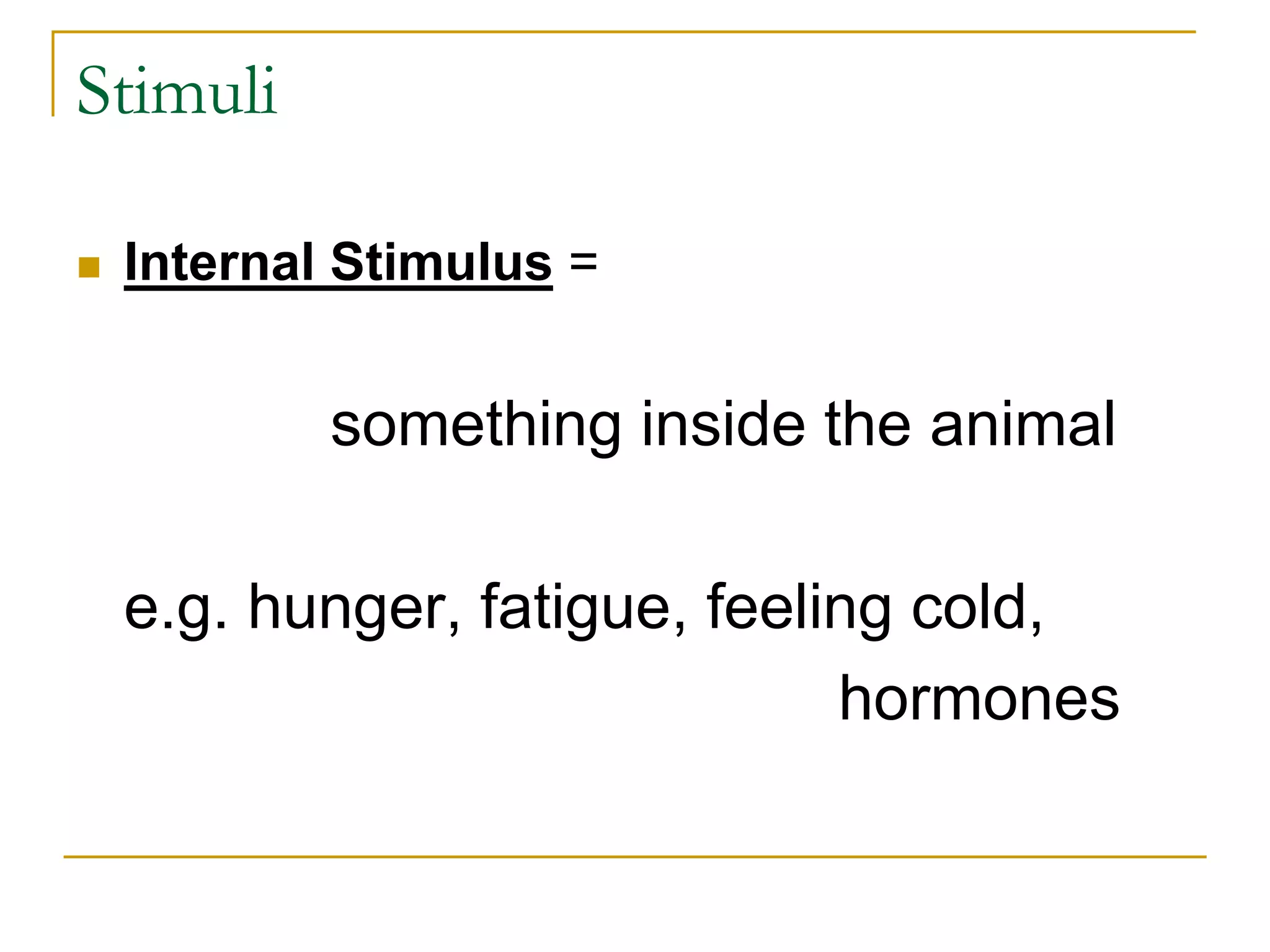 Animal behavior | PPT