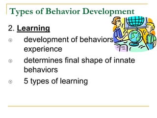 Animal behavior | PPT
