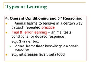 Animal behavior | PPT