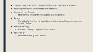 Animal behavior | PPT