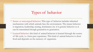 Animal behavior | PPT