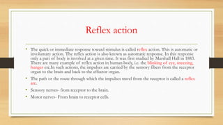 Animal behavior | PPTX