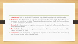 Animal behavior/ orientation/taxes | PPTX