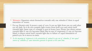 Animal behavior/ orientation/taxes | PPTX