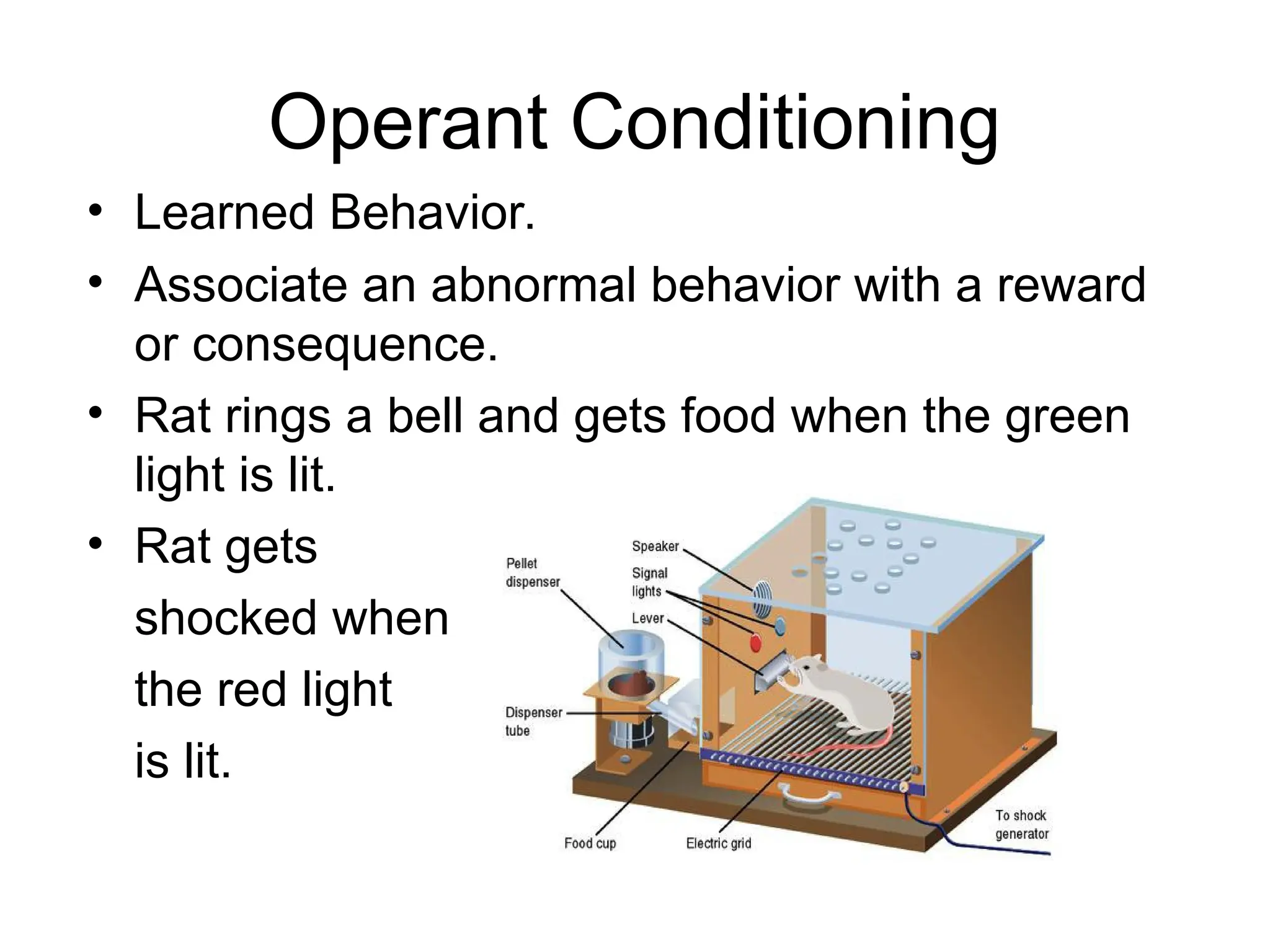 Animal Behavior ppt for zoology students | PPT