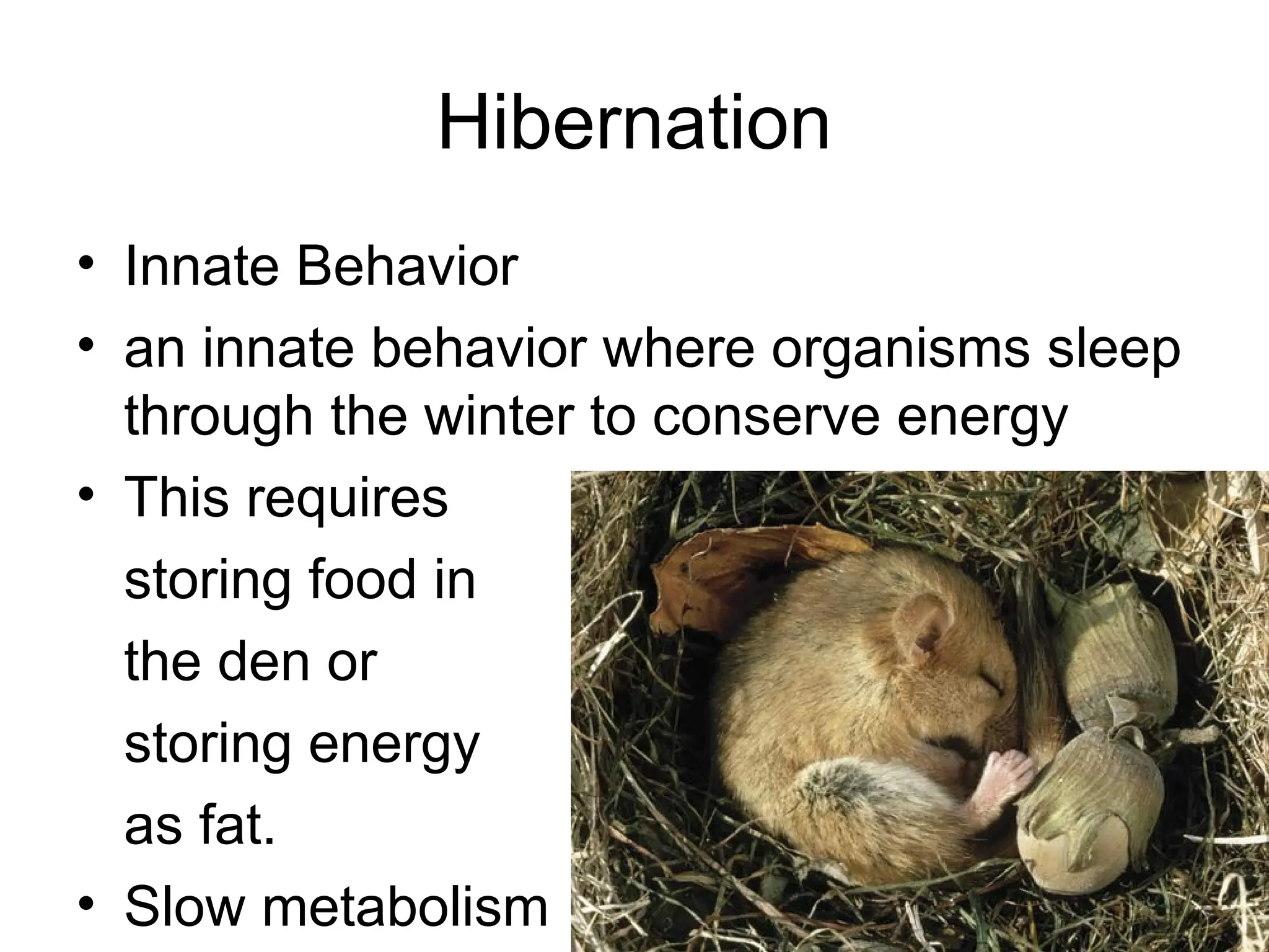 Animal Behavior ppt for zoology students | PPT