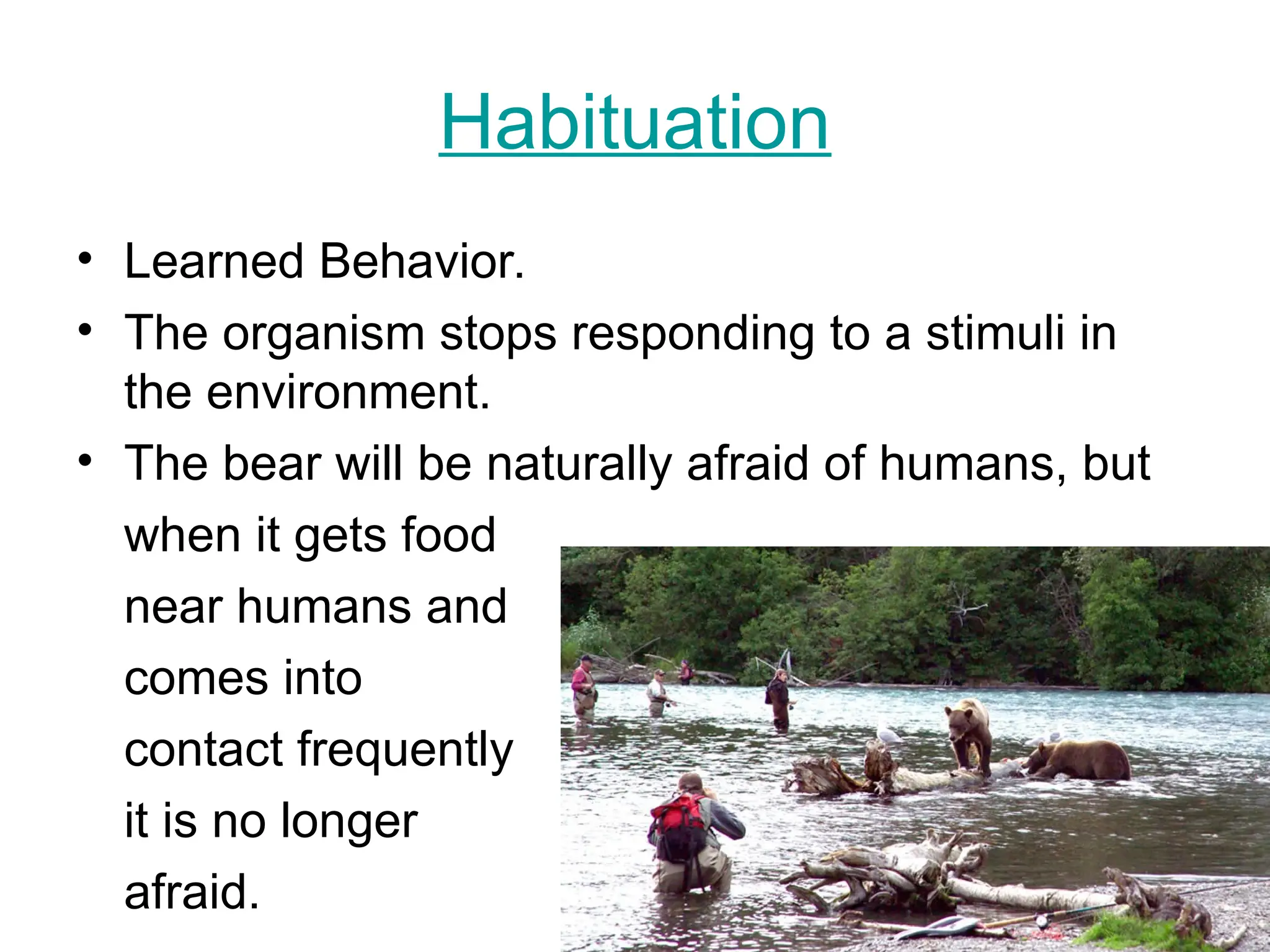 Animal Behavior ppt for zoology students | PPT
