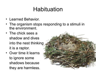 Animal Behavior ppt for zoology students | PPT