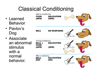 Animal Behavior ppt for zoology students | PPT