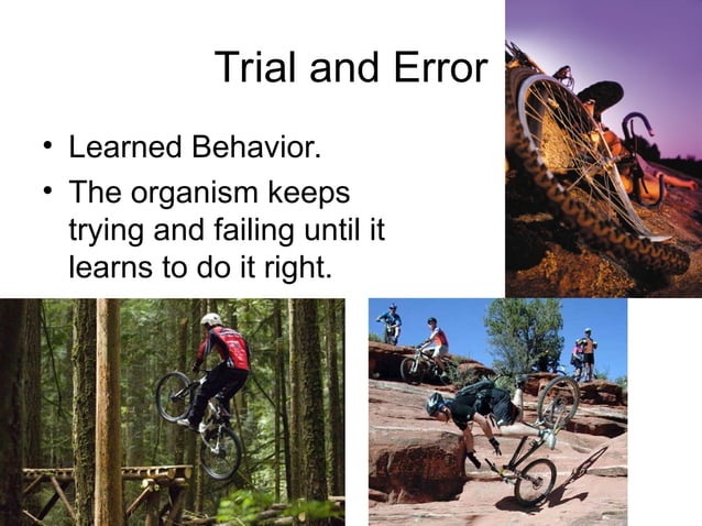 Animal Behavior ppt for zoology students | PPT