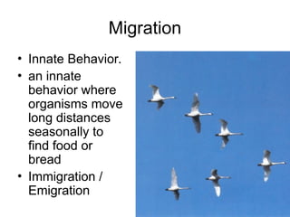 Animal Behavior ppt for zoology students | PPT