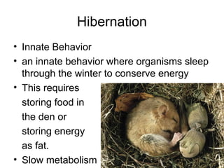 Animal Behavior ppt for zoology students | PPT