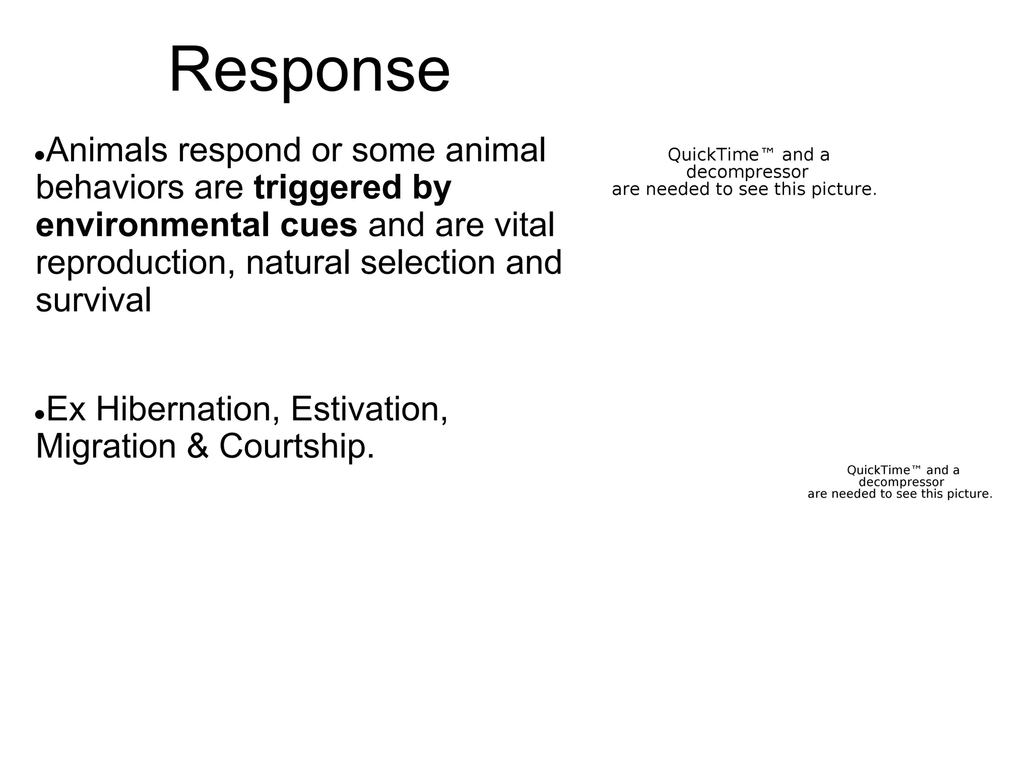 Animal Behavior.ppt.pdffukkvvfddddddfghjiihg | PPT