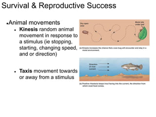 Animal Behavior.ppt.pdffukkvvfddddddfghjiihg | PDF