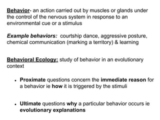 Animal Behavior.ppt.pdffukkvvfddddddfghjiihg | PPT